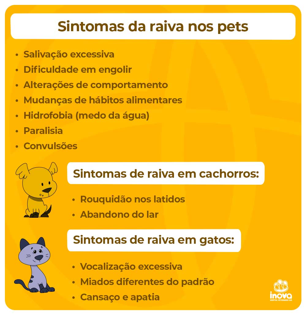Sintomas De Raiva Nos Pets: 10 Indícios Para O Tutor Identificar
