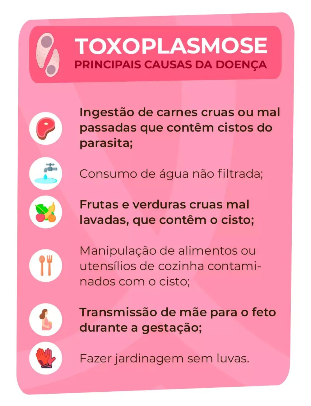 Toxoplasmose: O Que É, Sintomas, Riscos E Como Tratar?